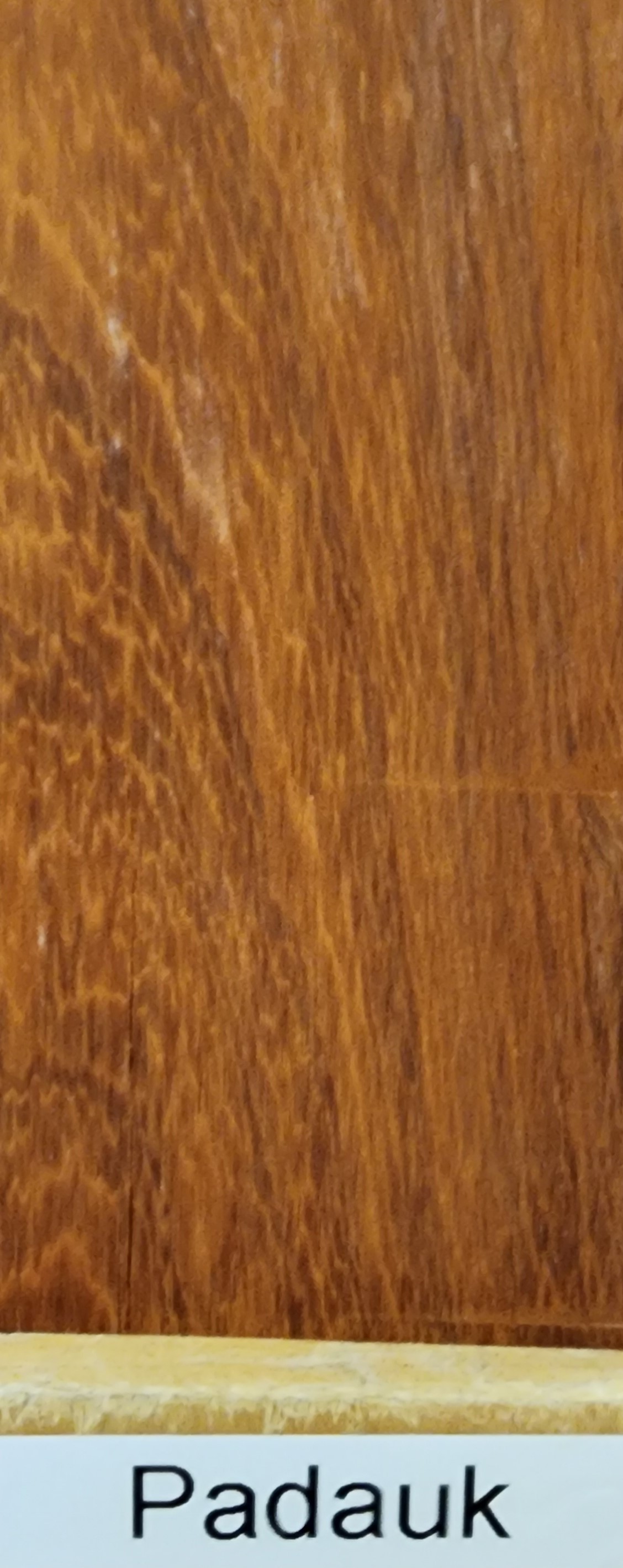 Custom Fretboard Form – Rising Tide Sound Works